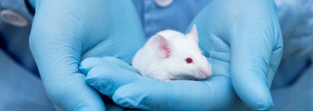 The Promising Pathway from Mouse Autophagy Models to Human Therapeutics ...